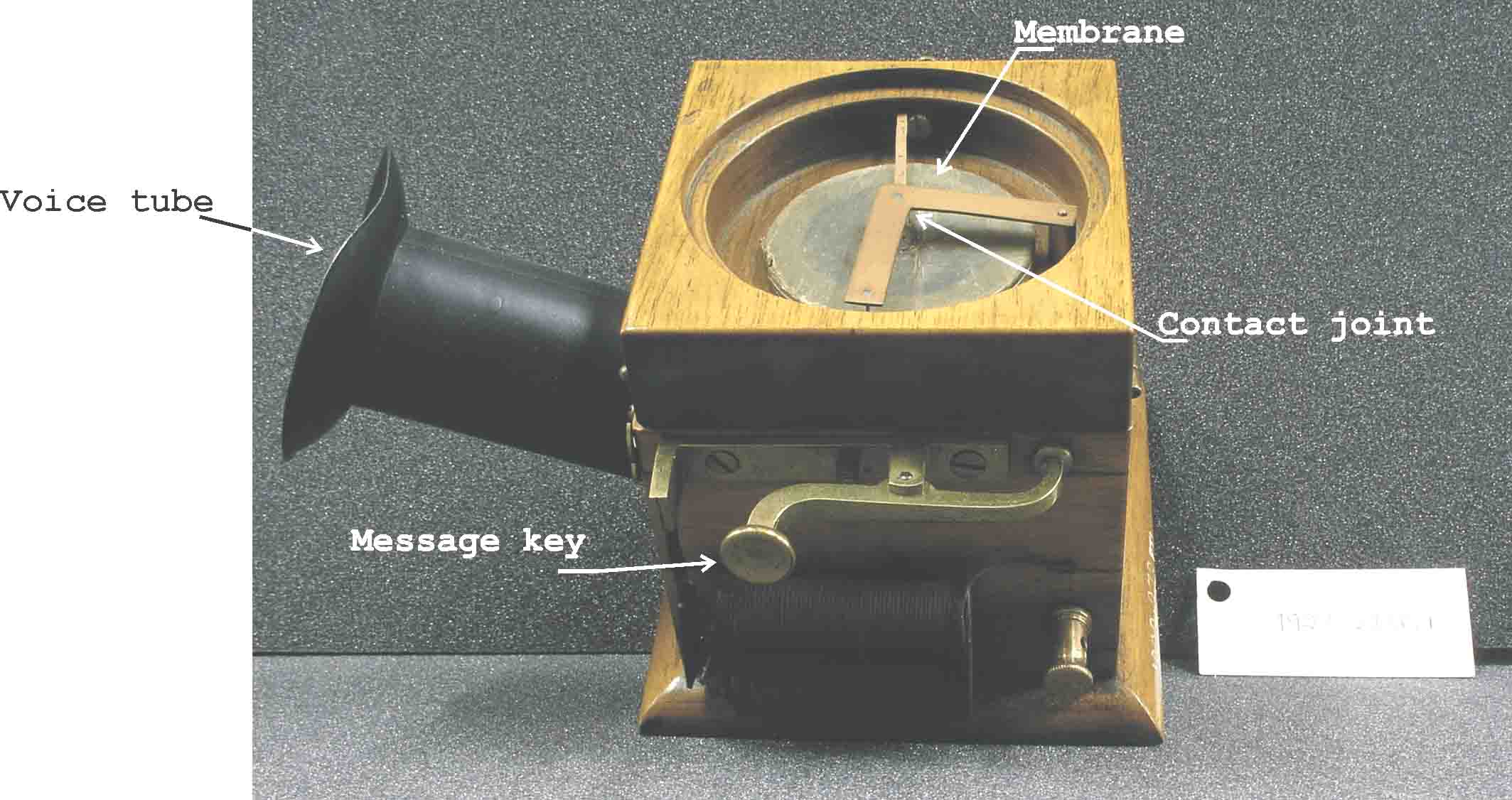 Reis microphone